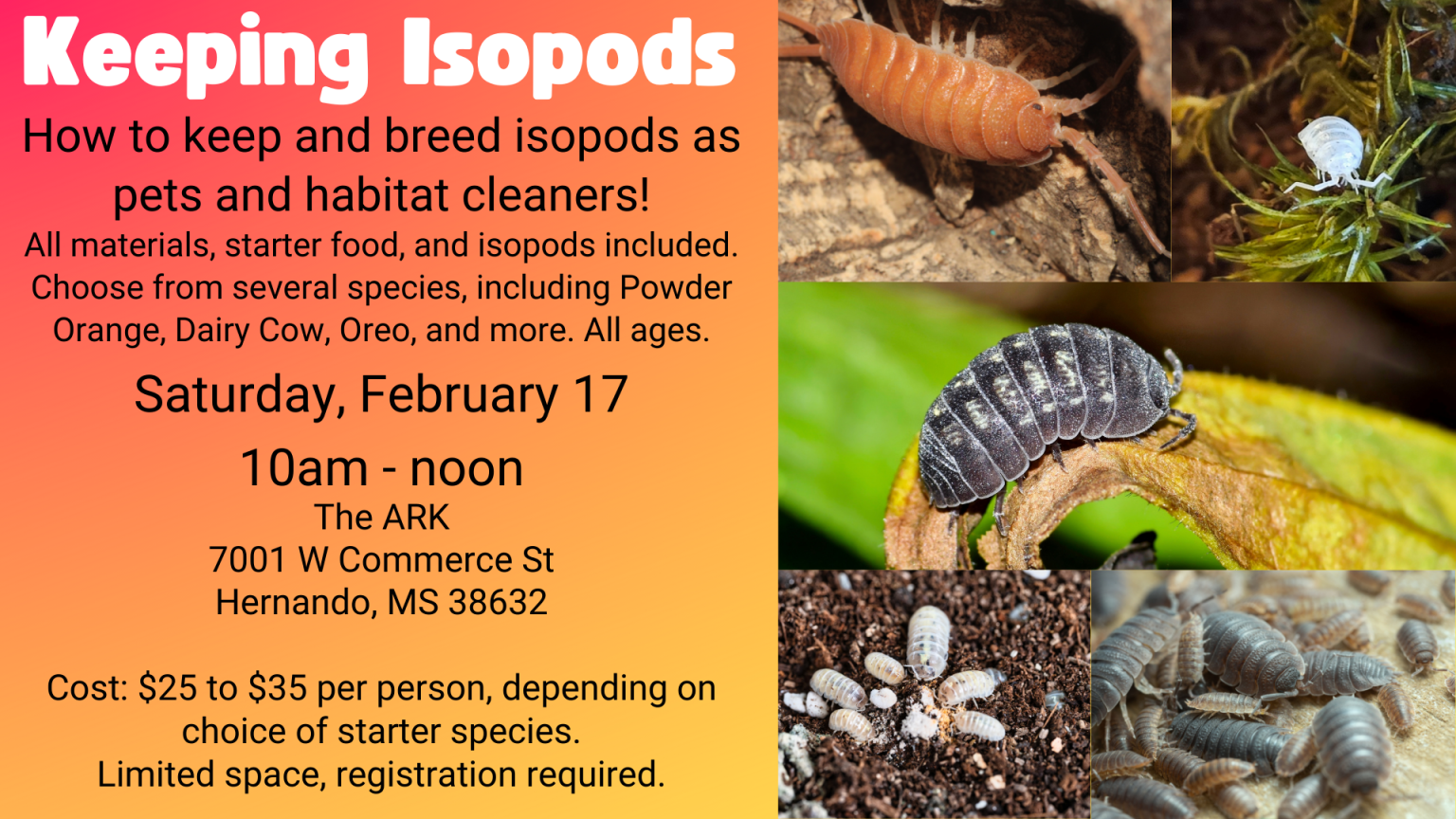 Keeping Isopods Workshop – Mississippi Wildlife Rehabilitation, Inc