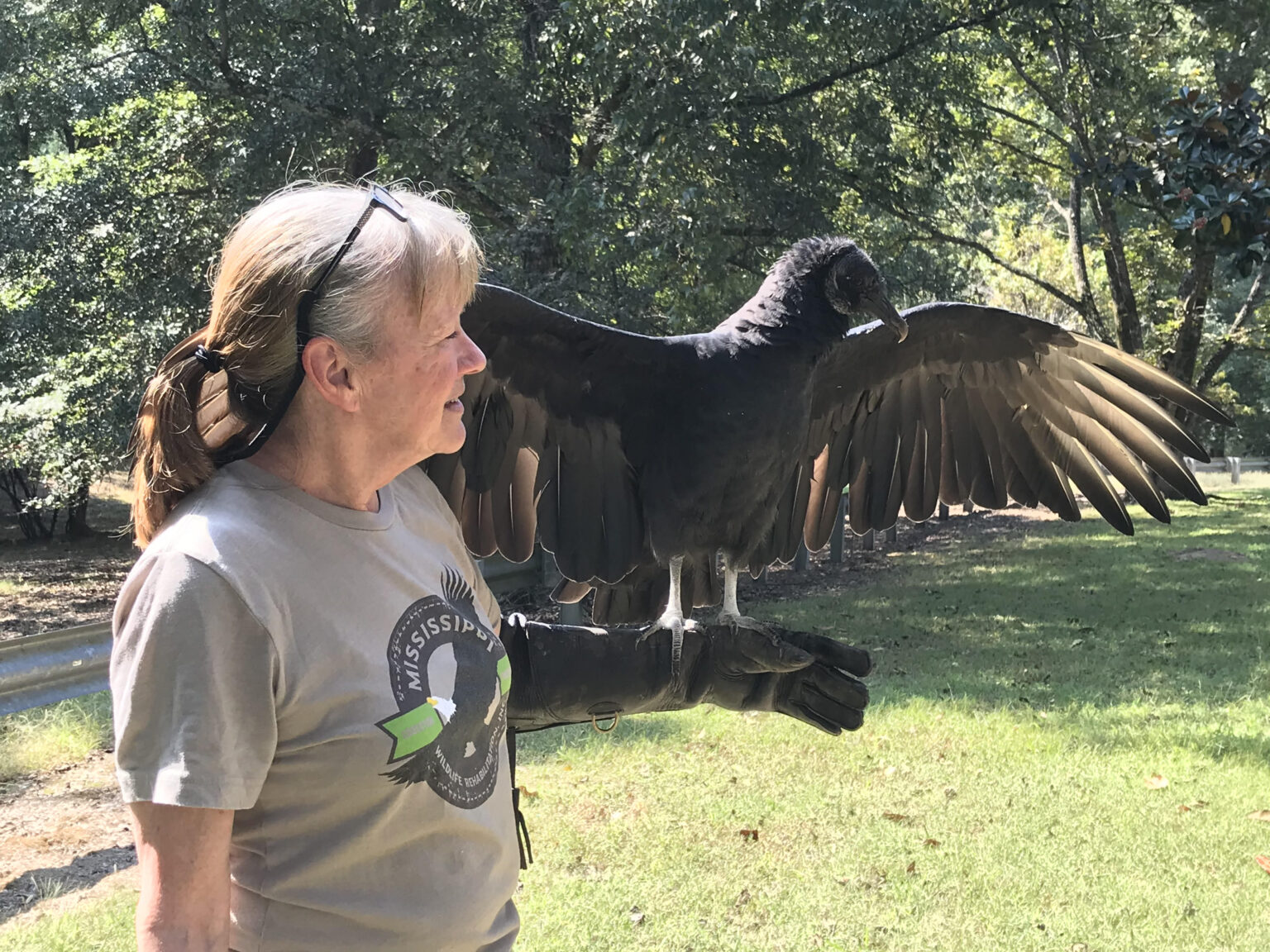 Mississippi Wildlife Rehabilitation, Inc